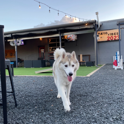 Dallas Home Page | Bowlounge